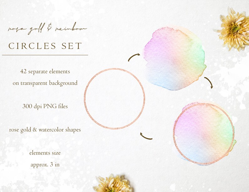 Gold Circles With Rainbow Watercolor Watercolor Circles for - Etsy