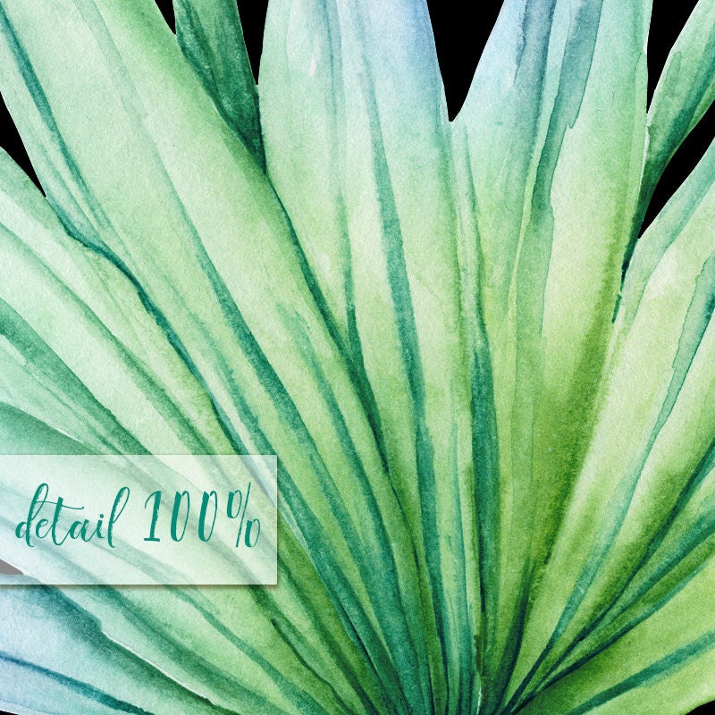 Hand Painted Watercolor Tropical Clipart Tropical Watercolor - Etsy