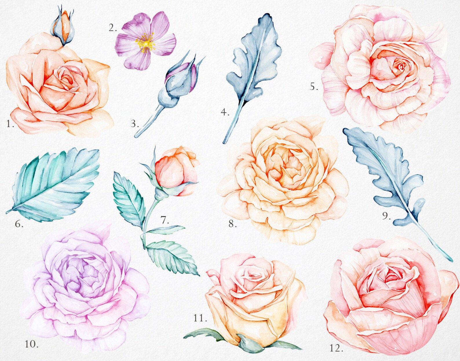 Watercolor Roses Clipart Hand Painted Watercolor Clipart - Etsy
