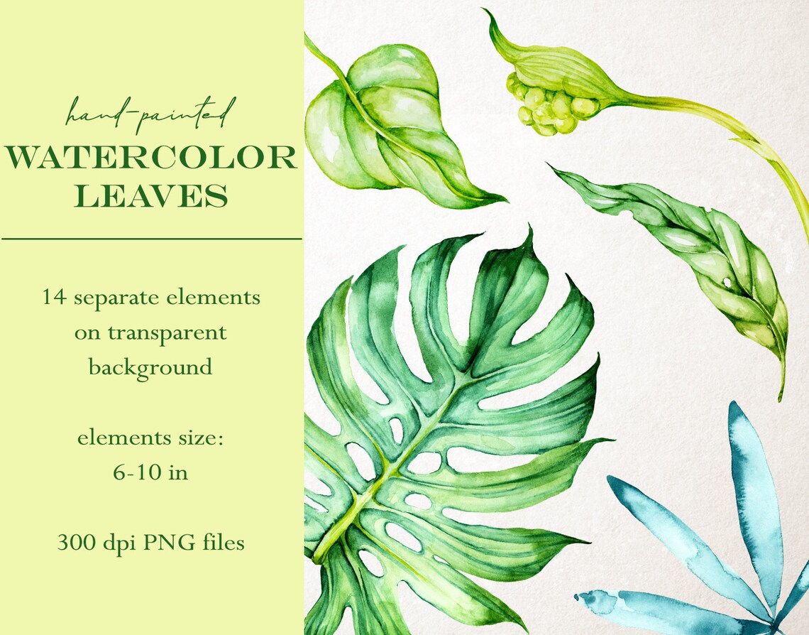 Watercolor Tropical Leaves Clipart Hand Painted Watercolor - Etsy