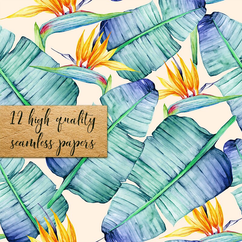 Tropical Seamless Digital Paper Pack, Floral Seamless Background ...