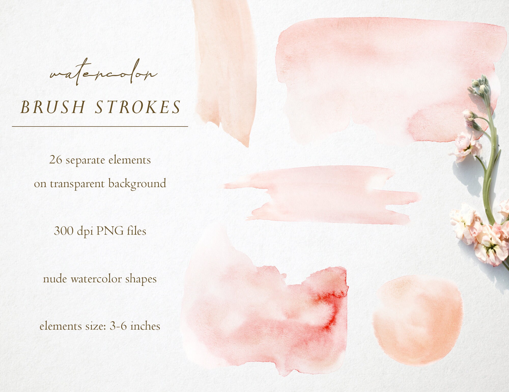 Blush Watercolor Shapes on Transparent Background Watercolor - Etsy