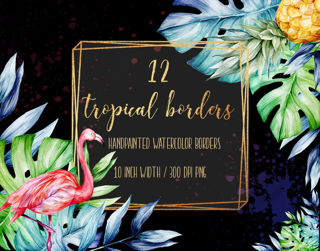 Watercolor Tropical Borders Clipart Tropical Overlays Hand - Etsy