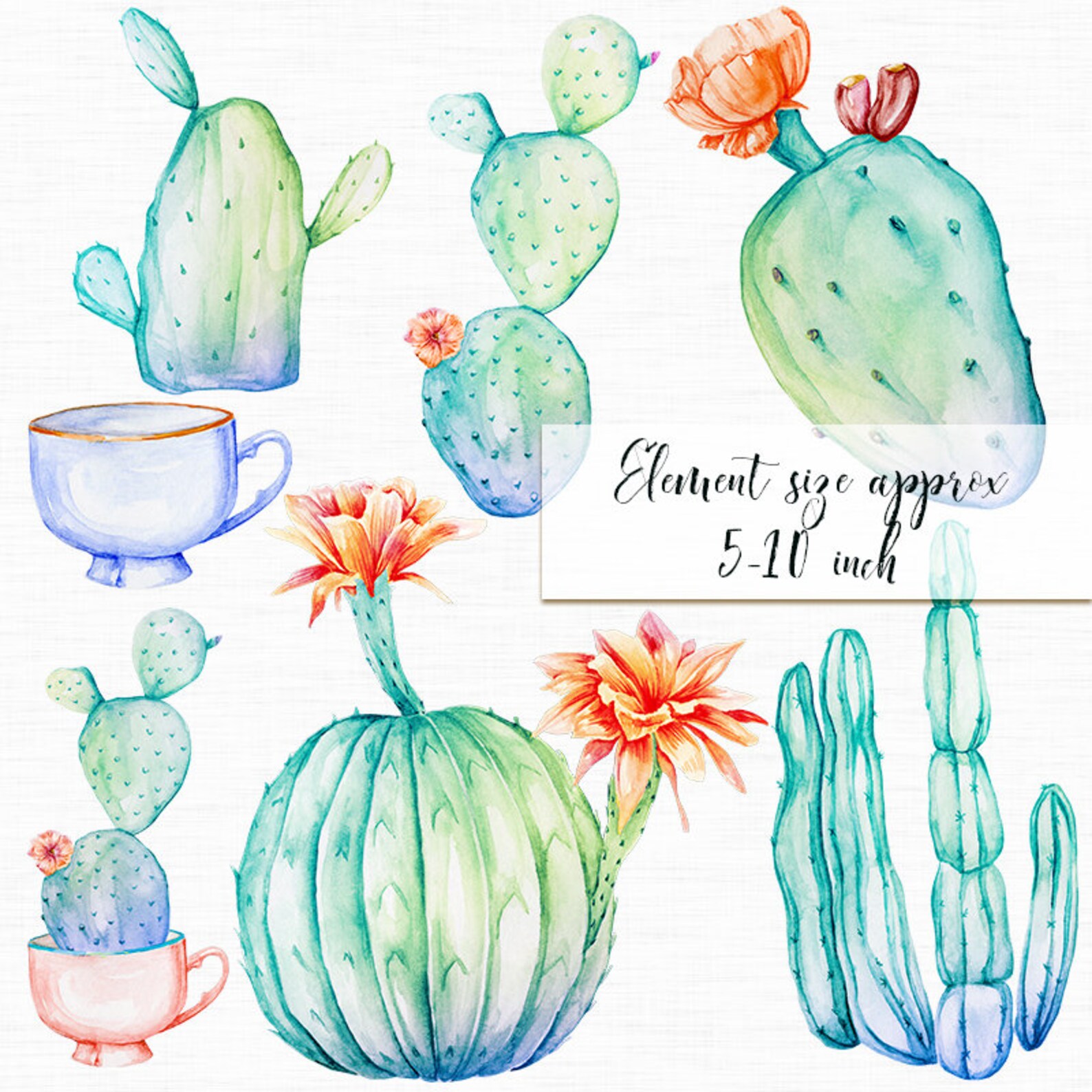 Watercolor Cactus Clip Art Watercolor Cactuses Summer Clip - Etsy