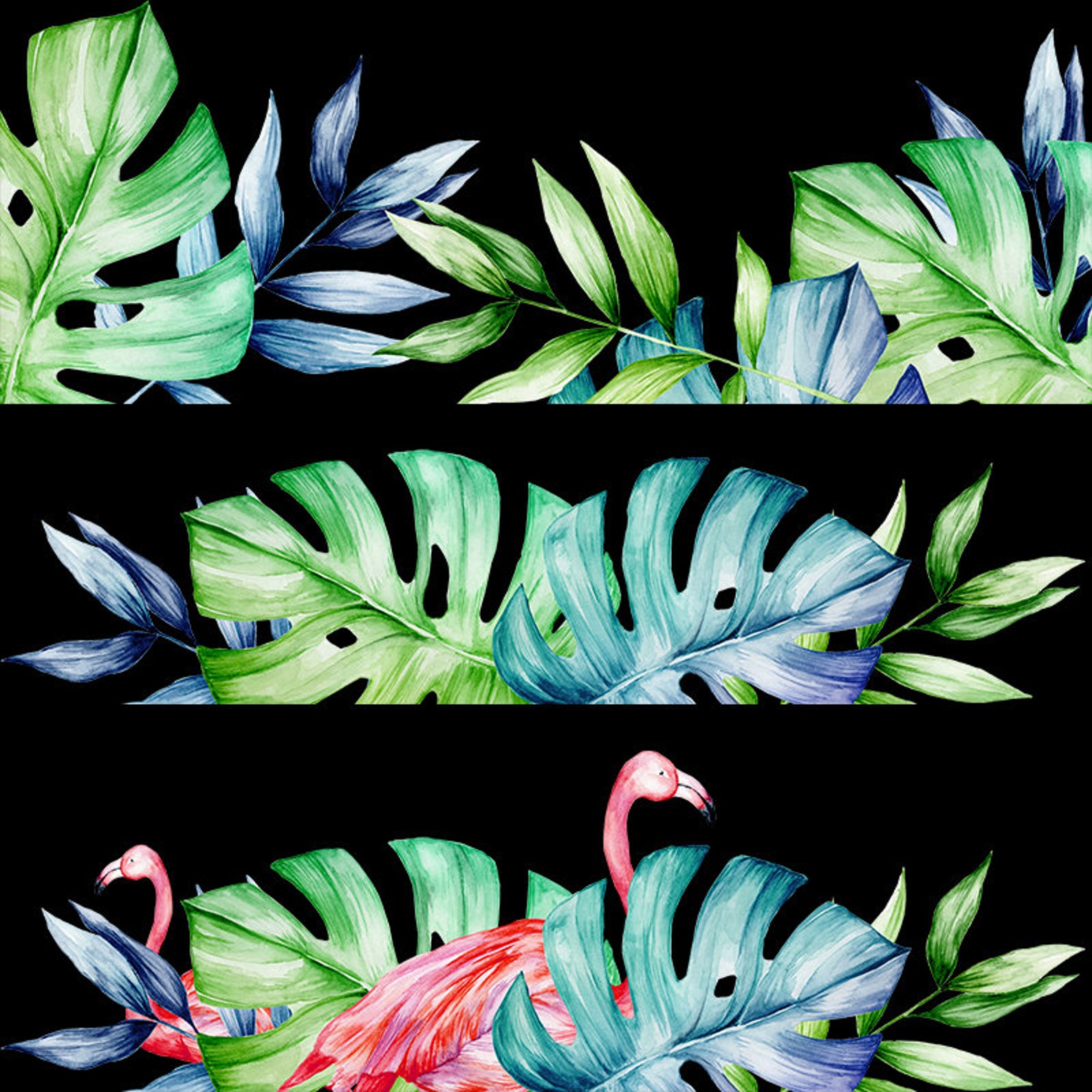 Watercolor Tropical Borders Clipart Tropical Overlays Hand - Etsy