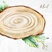 Wood Slices Clipart, Floral Frames, Watercolor Wooden Slices, Wedding ...