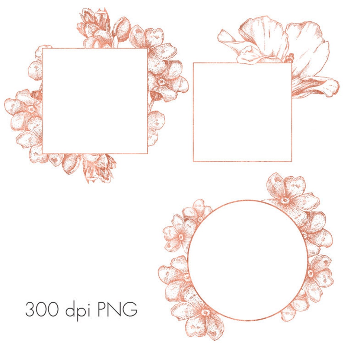 Rose Gold Frame Overlays, Rose Gold Floral Frames, Rose Gold Foil ...