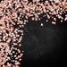 8 Rose Gold Confetti Frames Pack, Clip Art Set, Rose Gold Foil Confetti ...