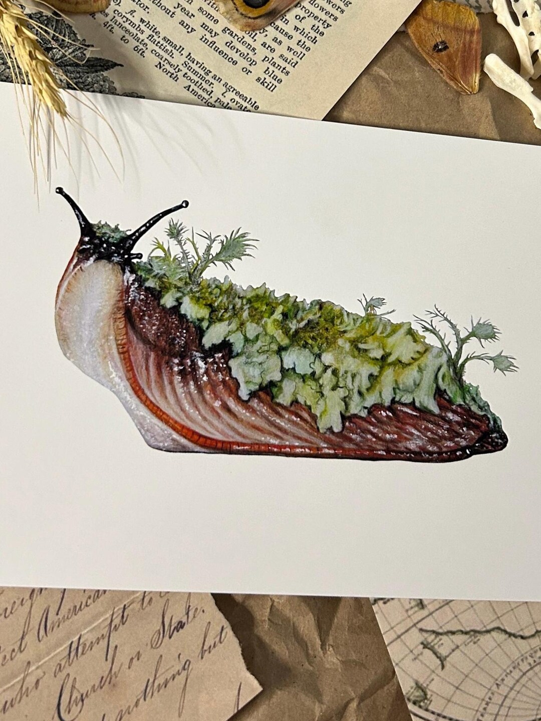 Steady Slug Art Prints - Etsy