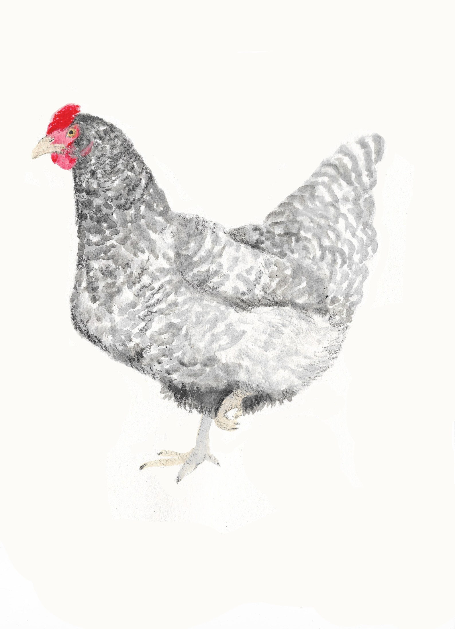 Hen Print sets | Etsy