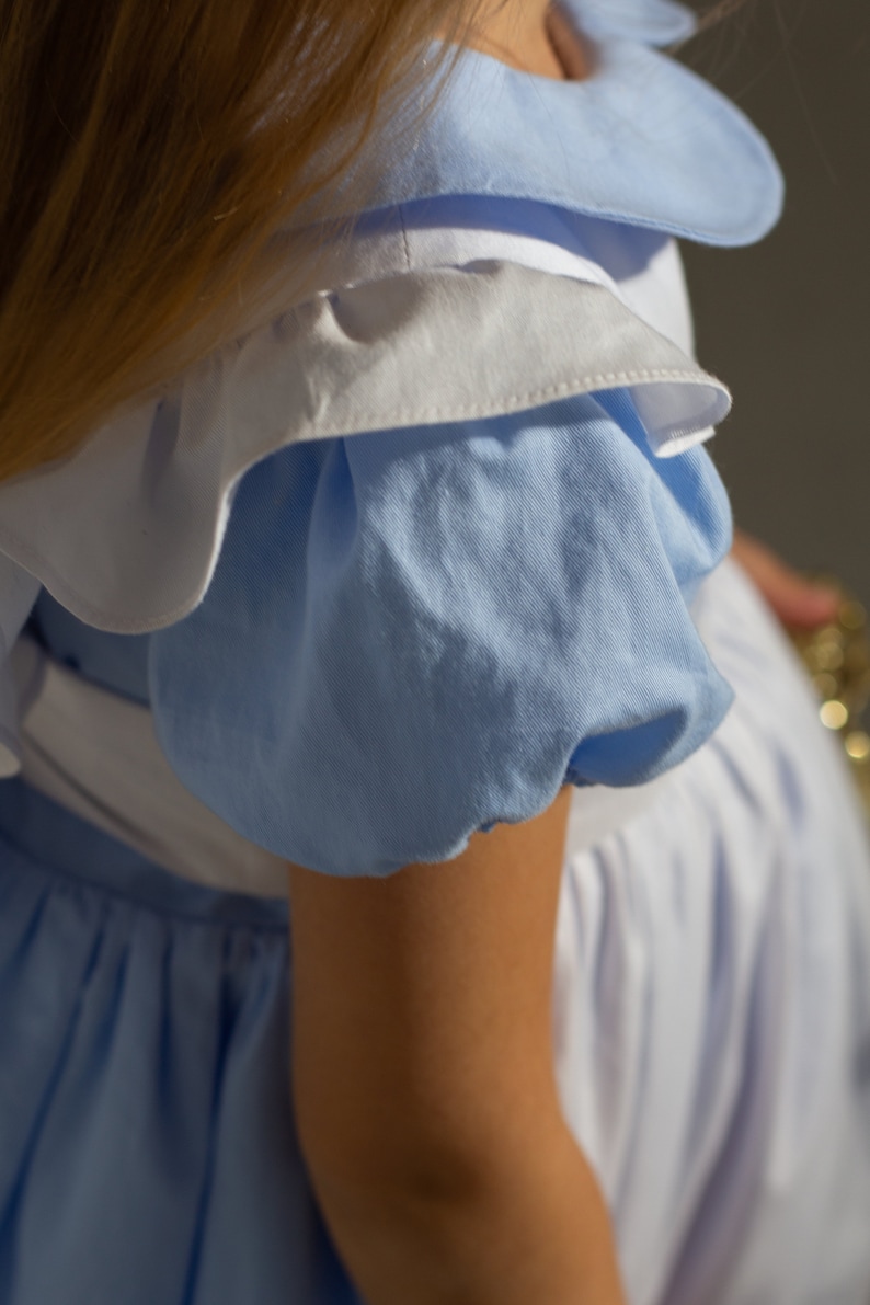 Alice in Wonderland Dress for Girls – Toddler Fairy Tale Costume, Tea ...