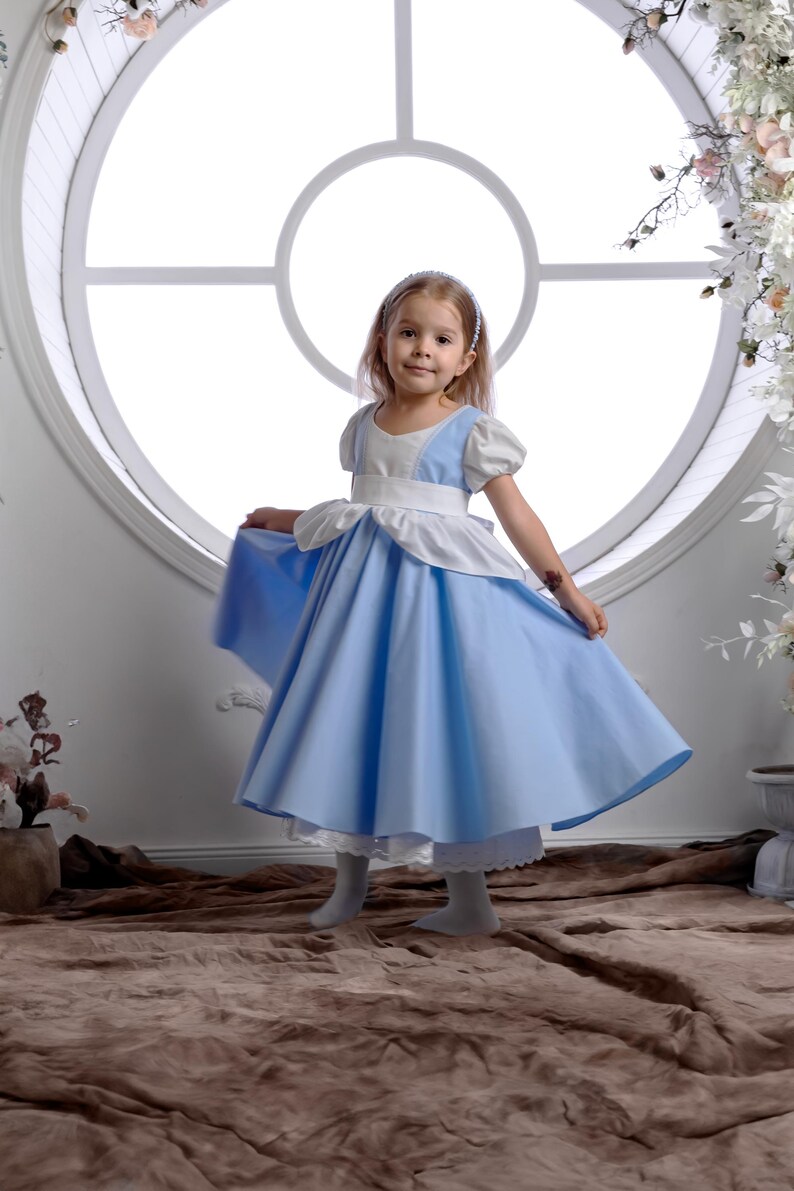 Cinderella Dress: Personalized Cotton Dress, Blue Ballgown Princess ...