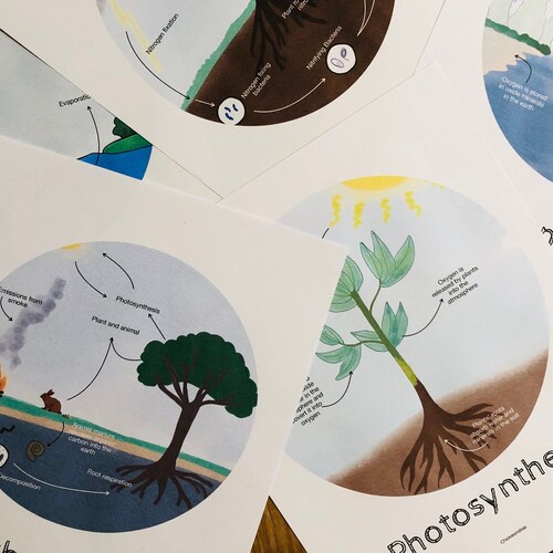 Nature Cycles Collection | Etsy