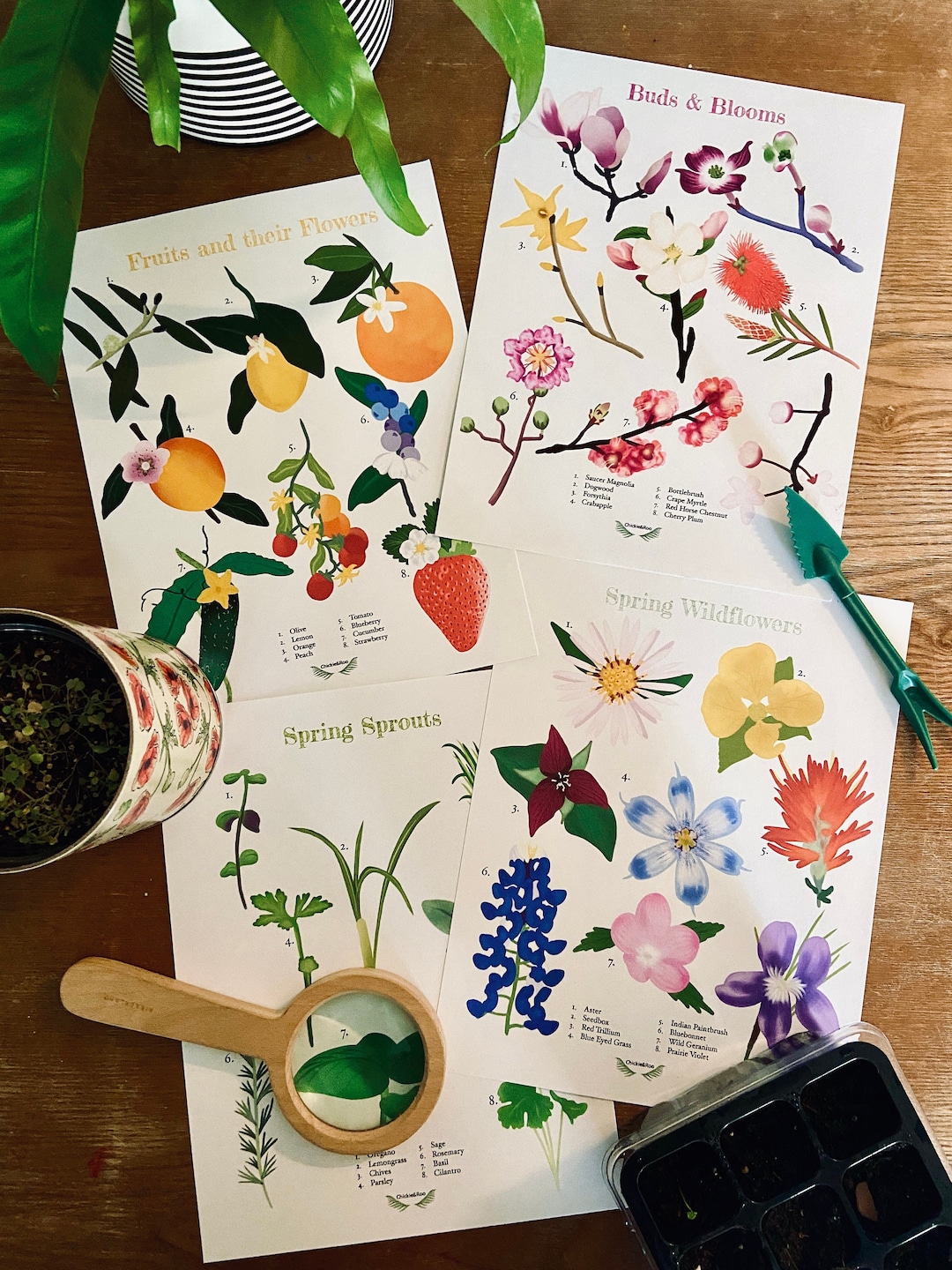 Signs of Spring Poster Collection - Etsy