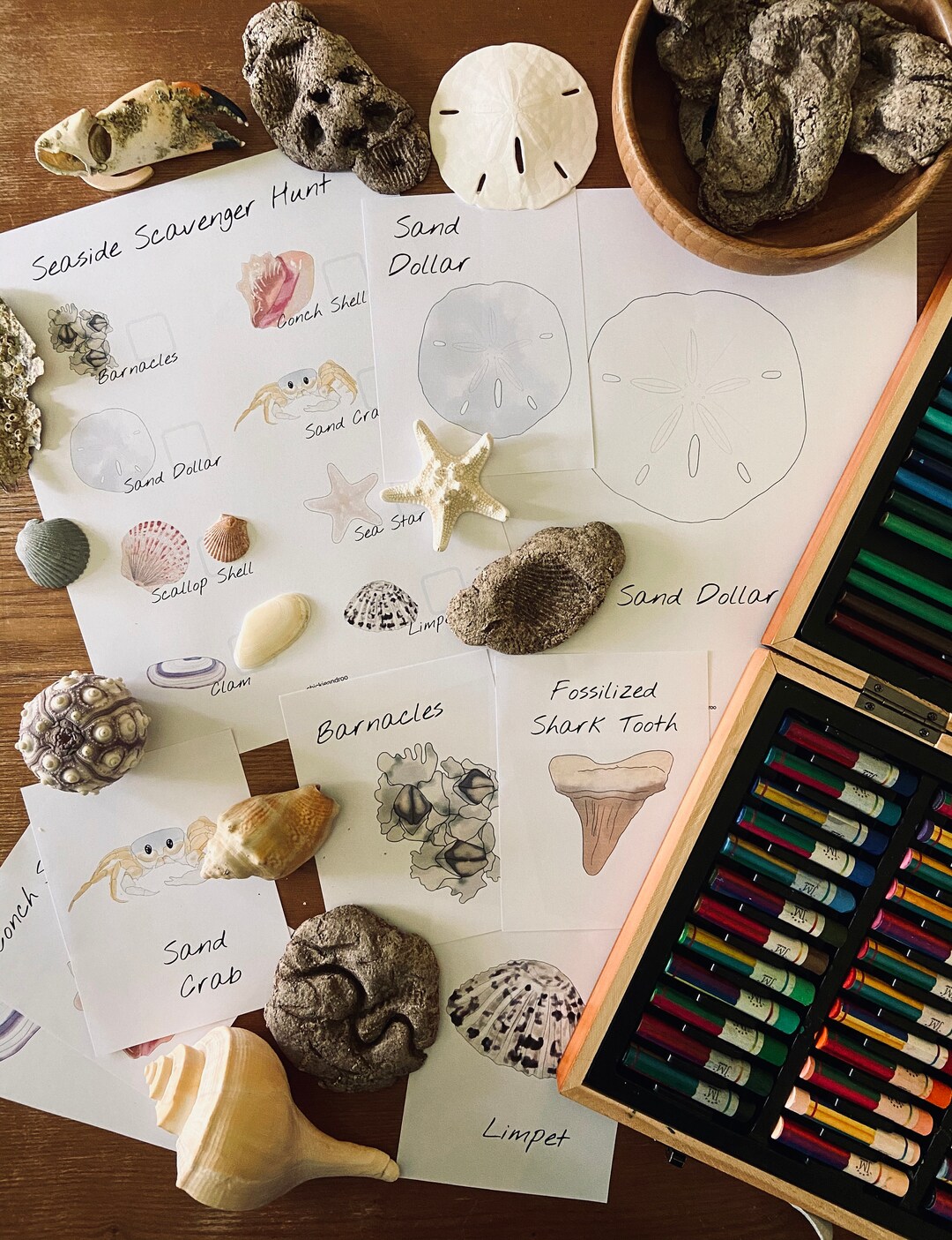 Prep Pack: Ocean & Seaside - Etsy