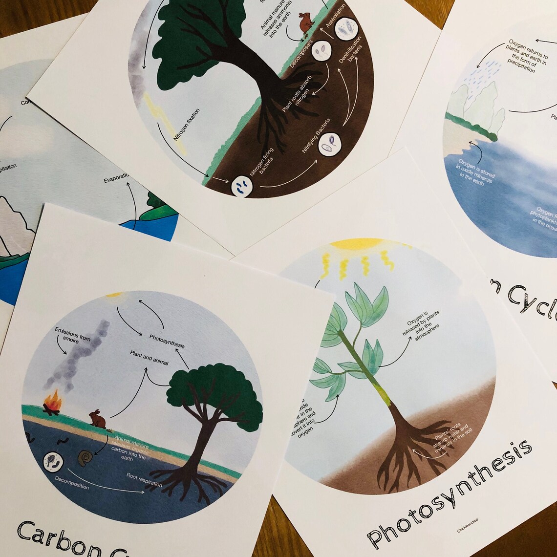 Nature Cycles Collection | Etsy