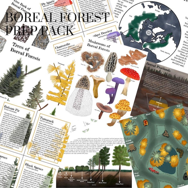 Boreal Forest - Etsy