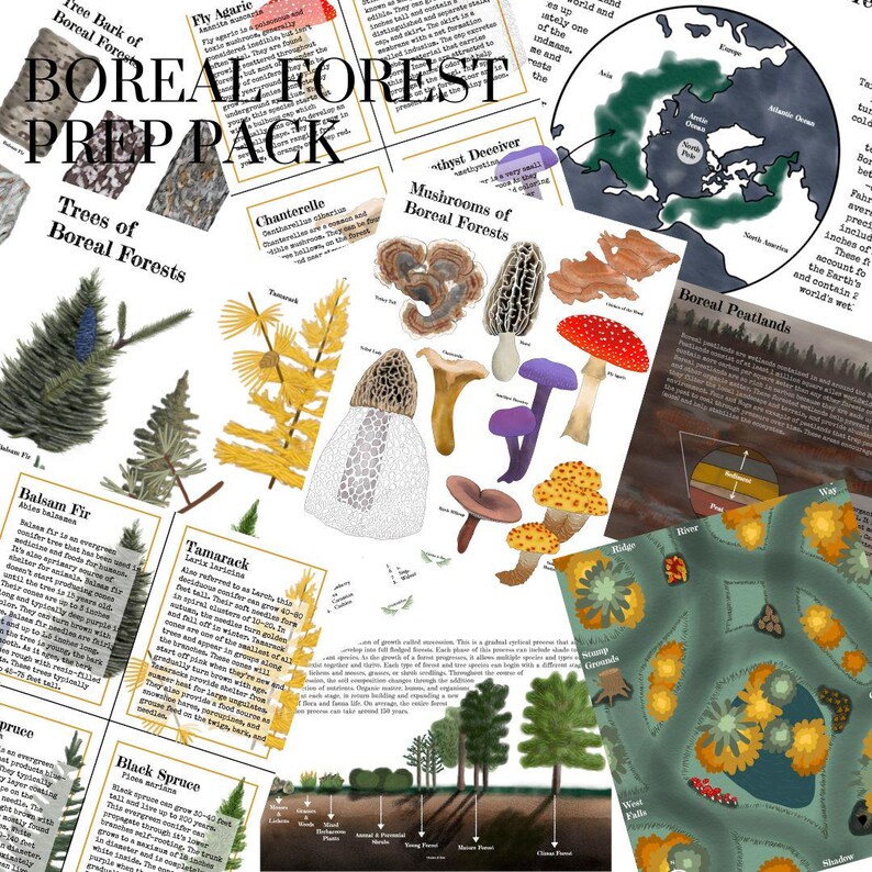Boreal Forests Prep Pack - Etsy