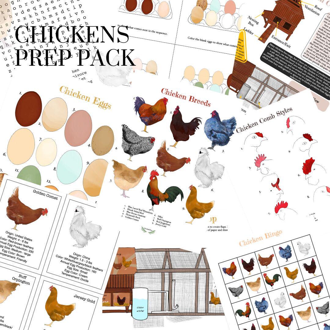 Chickens Prep Pack - Etsy