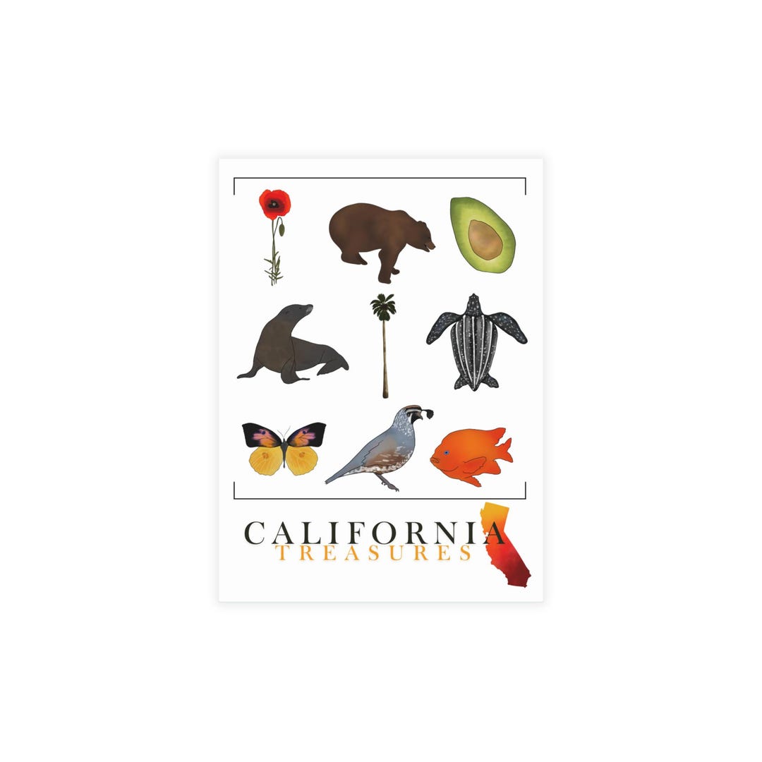 California Treasures Postcard Bundles (envelopes Included) - Etsy