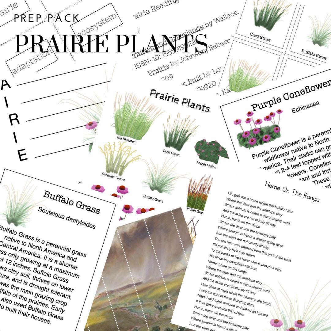 Prairie Plants Prep Pack - Etsy