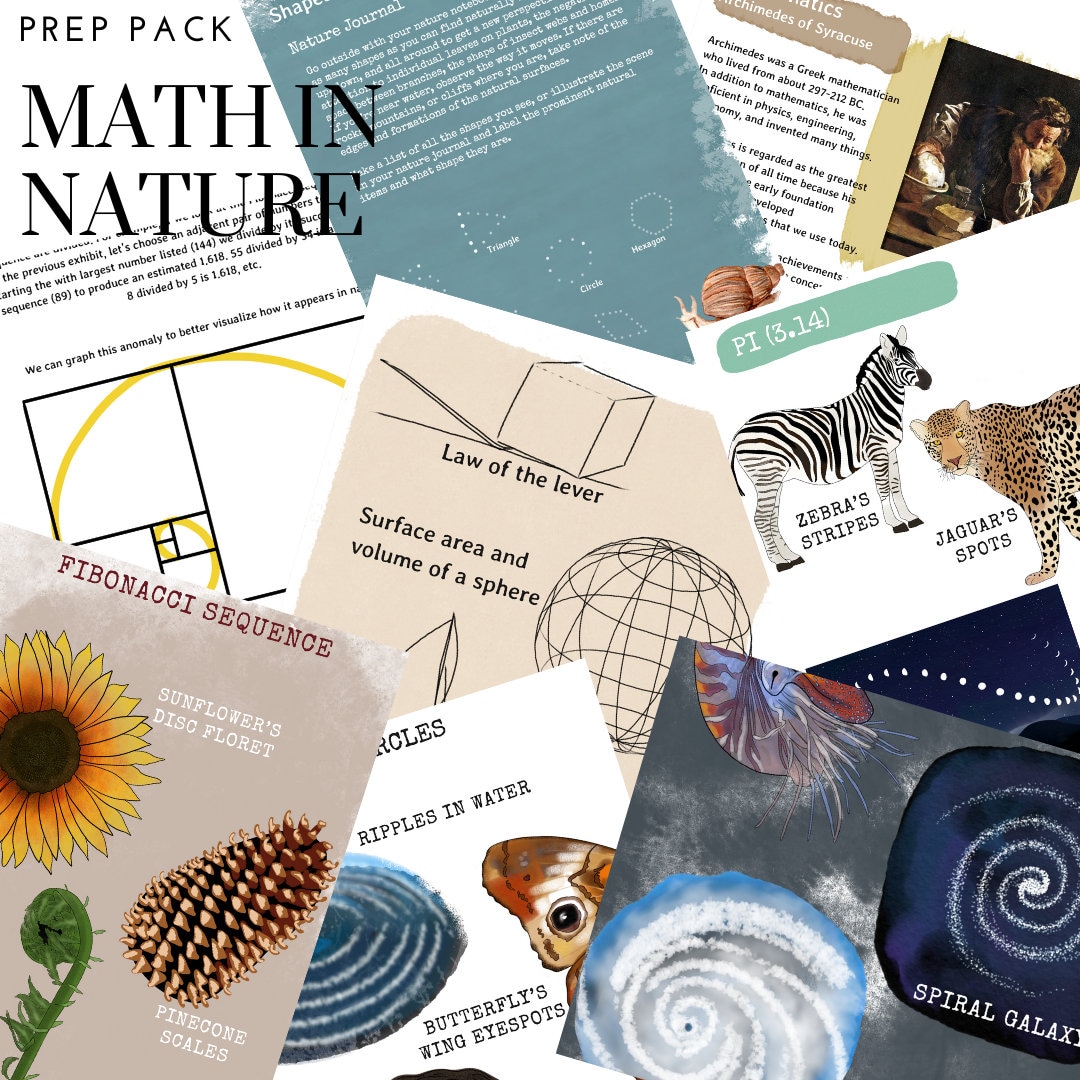 Math in Nature Prep Pack - Etsy