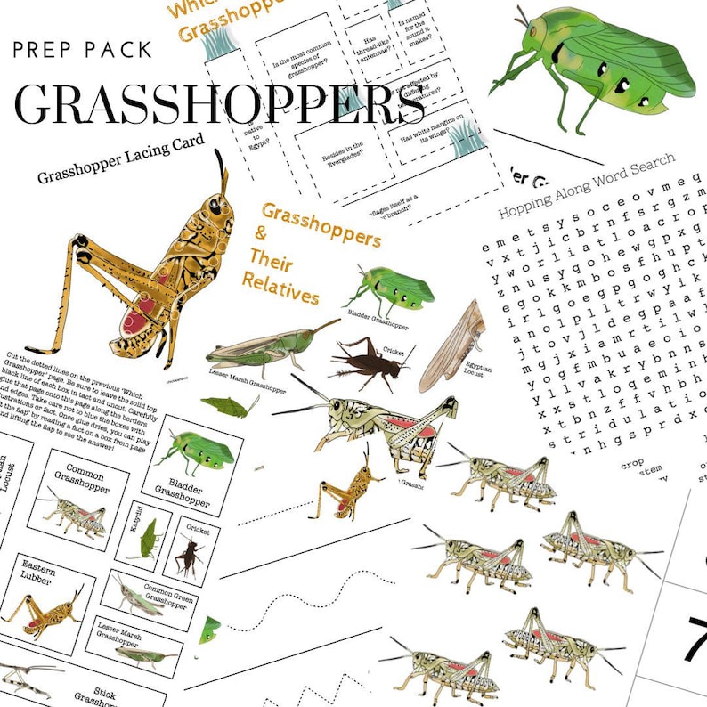 Grasshoppers Prep Pack - Etsy