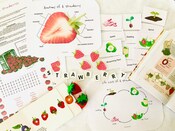 Life Cycle of a Watermelon Plant Foldable Kids' Craft A4 and 11x8.5 ...