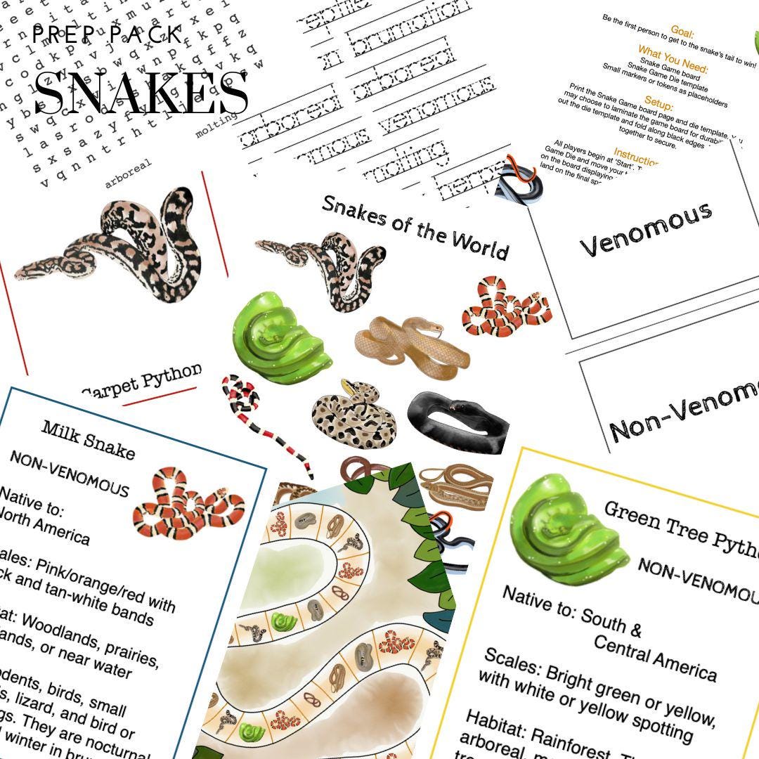 Snakes Prep Pack - Etsy