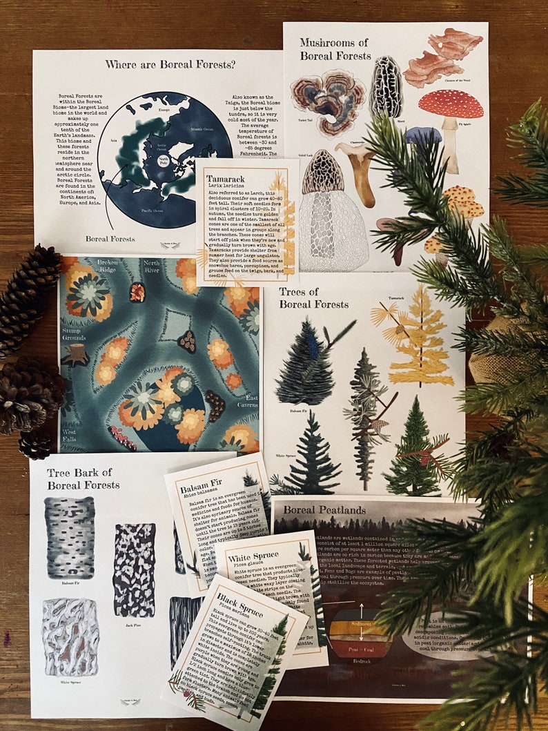 Boreal Forests Prep Pack - Etsy