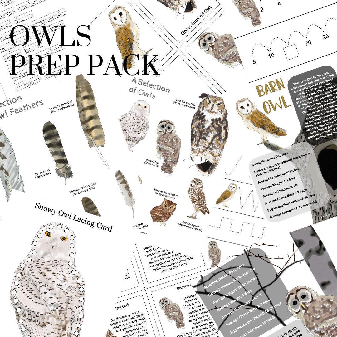 Prep Pack: Owls - Etsy