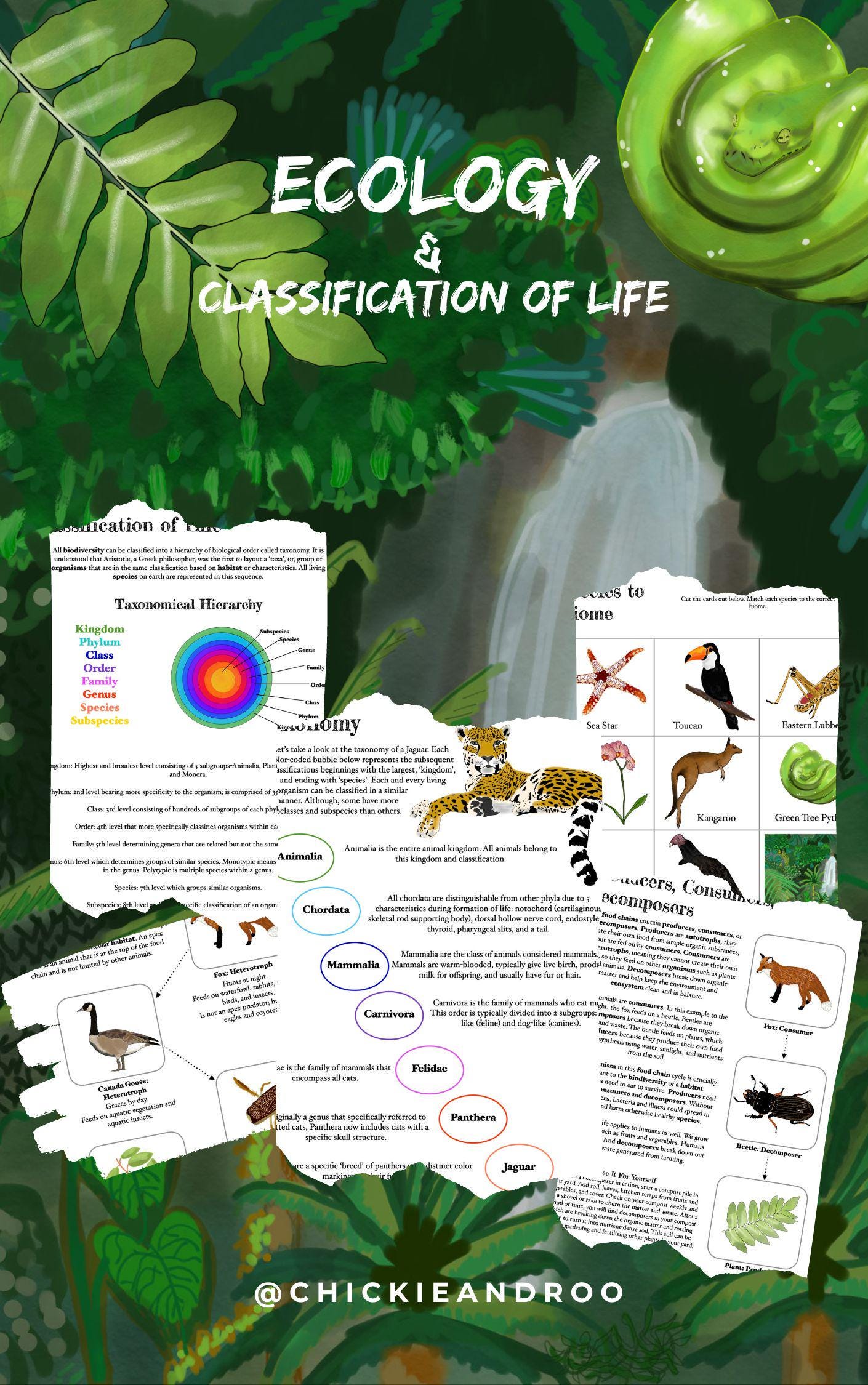 Ecology Prep Pack: Classification of Life Science Unit Study - Etsy