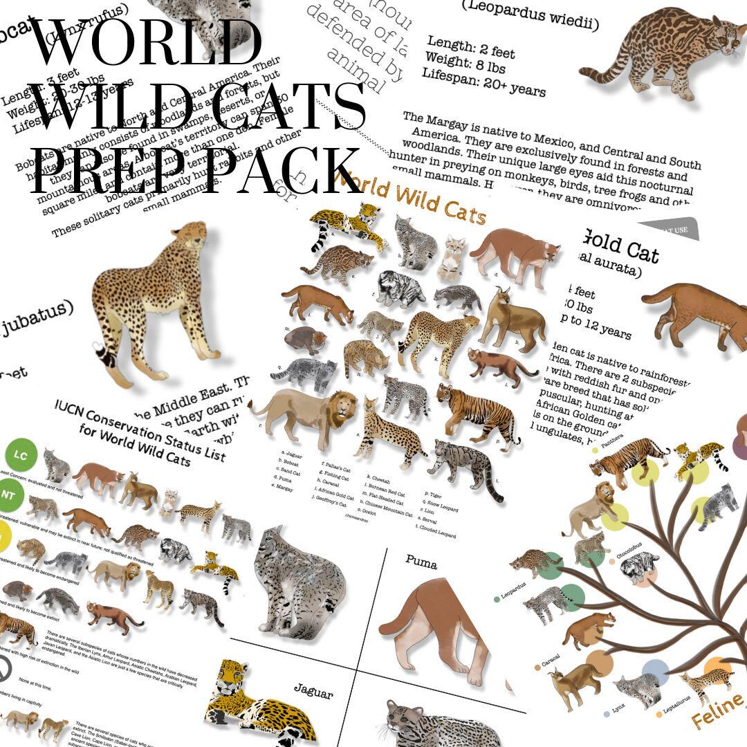 World Wild Cats Prep Pack - Etsy