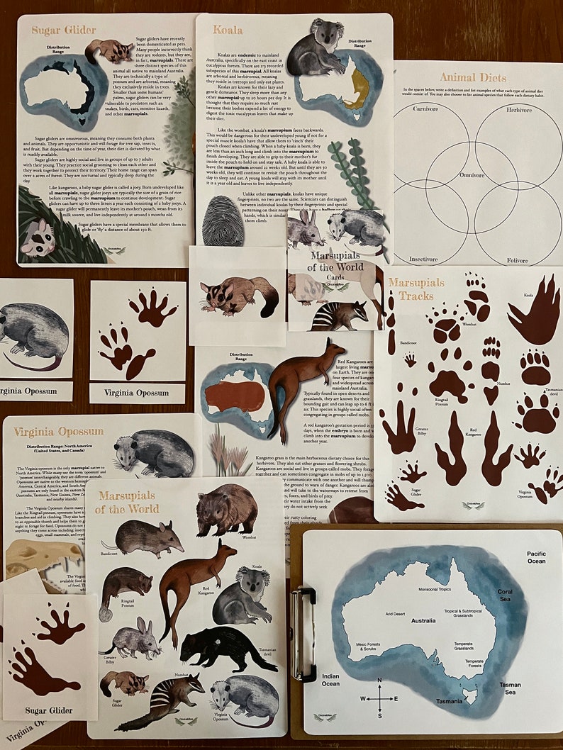 Marsupials of the World Prep Pack - Etsy