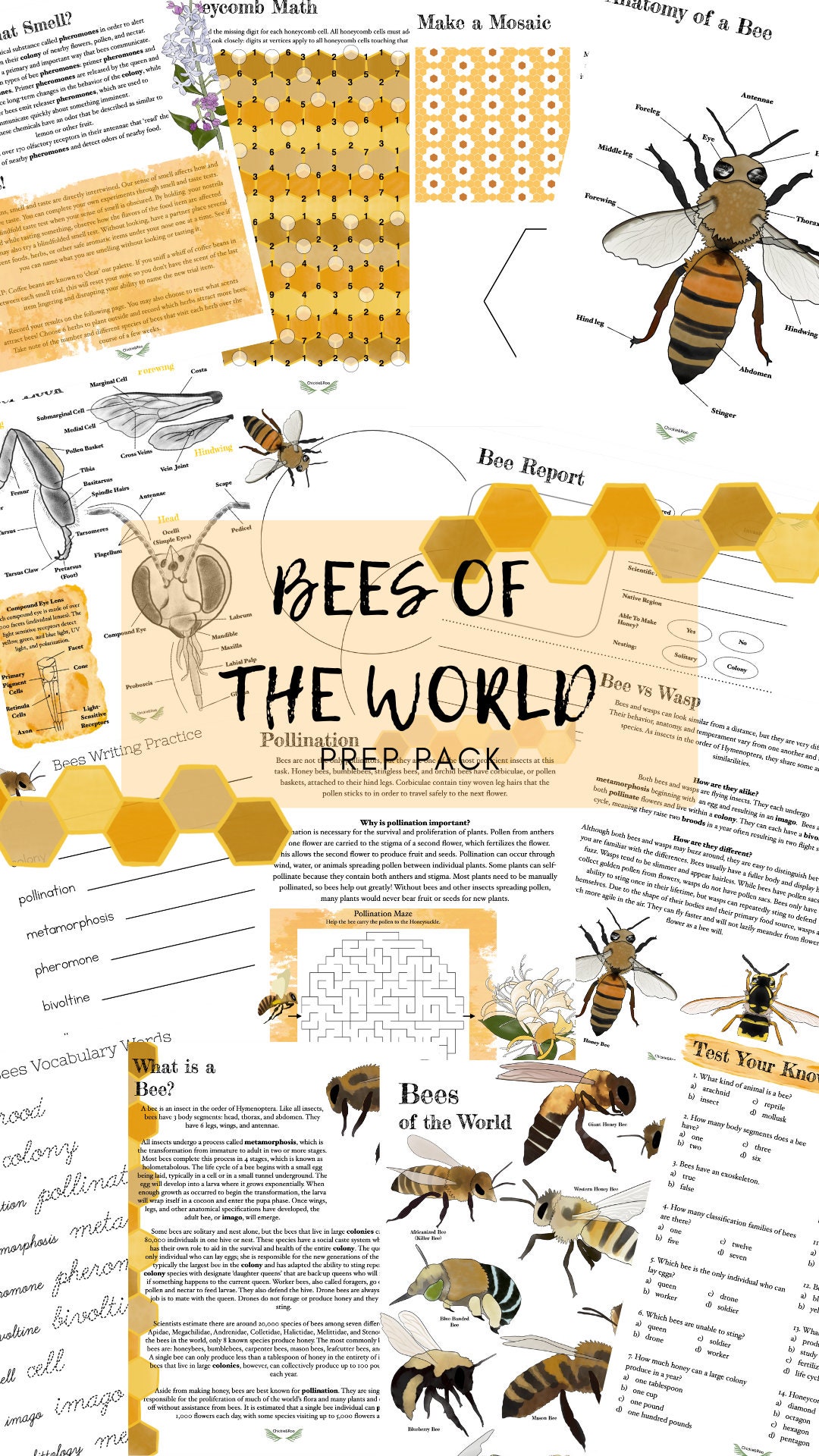 Bees Prep Pack - Etsy