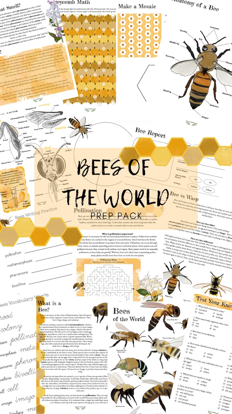 Bees Prep Pack - Etsy