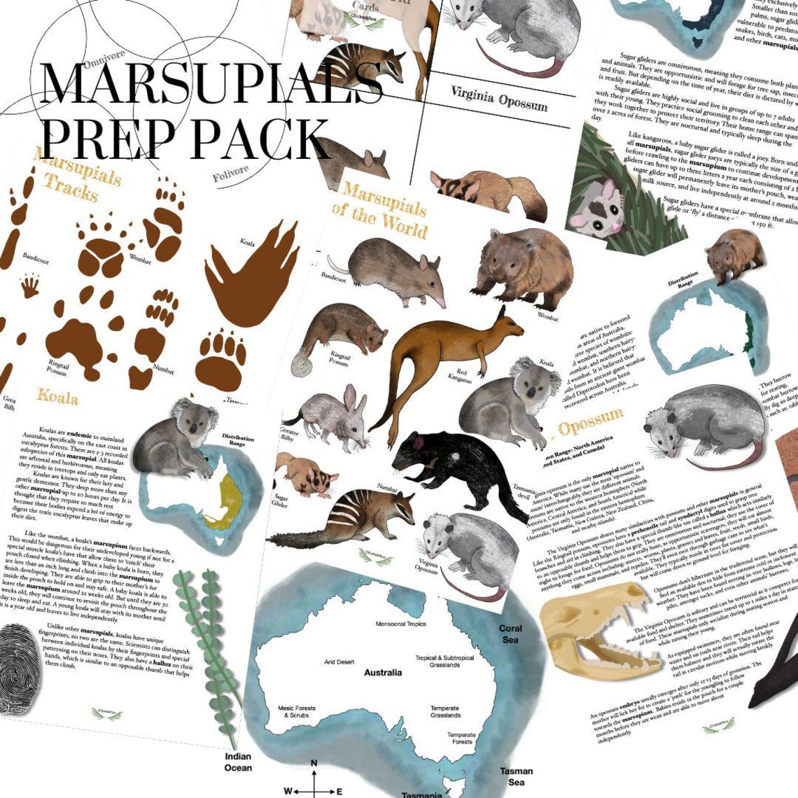 Marsupials of the World Prep Pack - Etsy