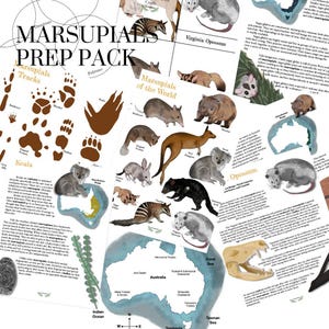 Marsupials of the World Prep Pack - Etsy