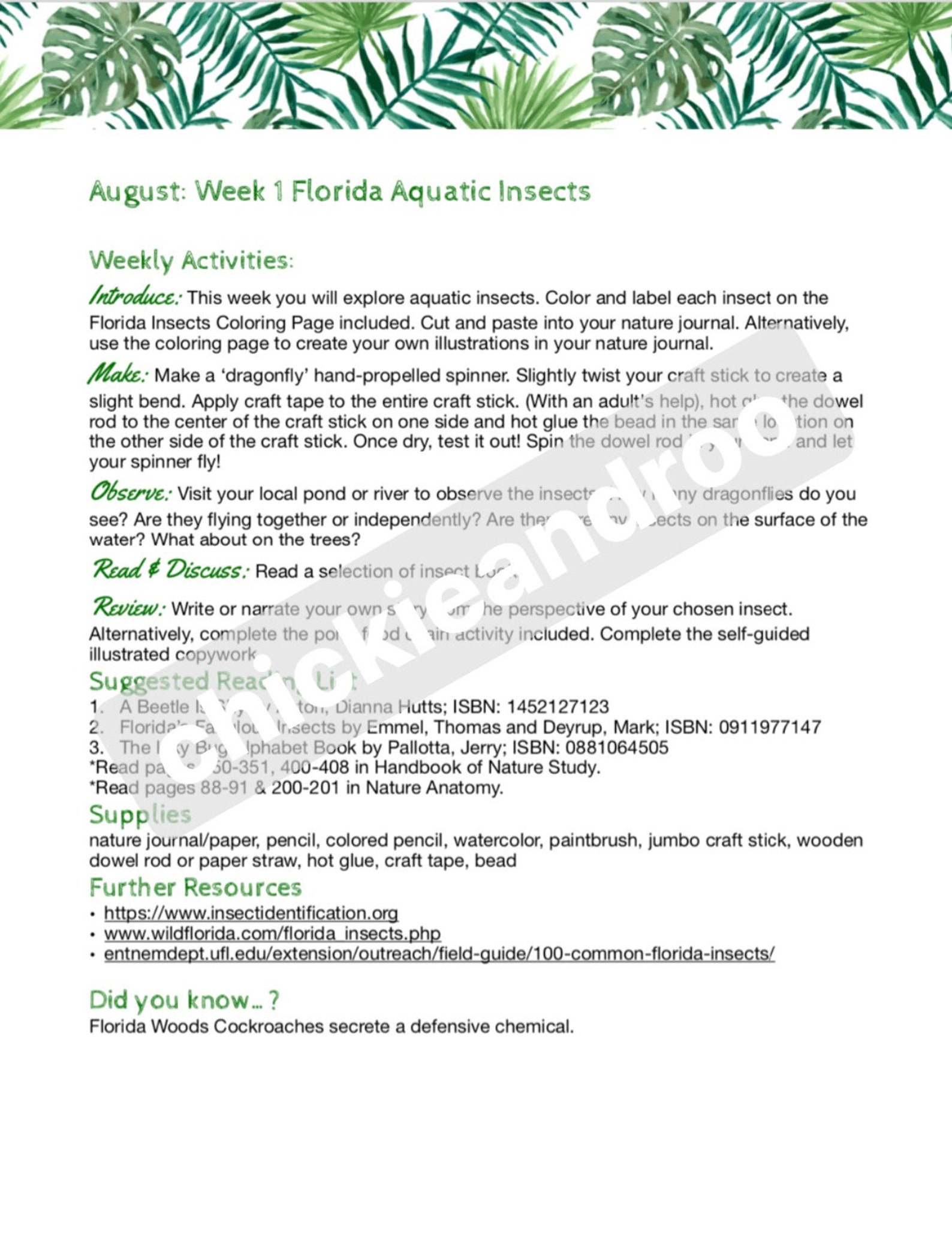 Florida Nature Guide-charlotte Mason-inspired Full Year Curriculum - Etsy