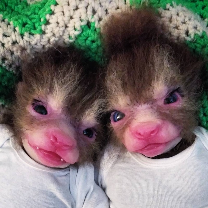 Werewolf Baby Doll - Etsy