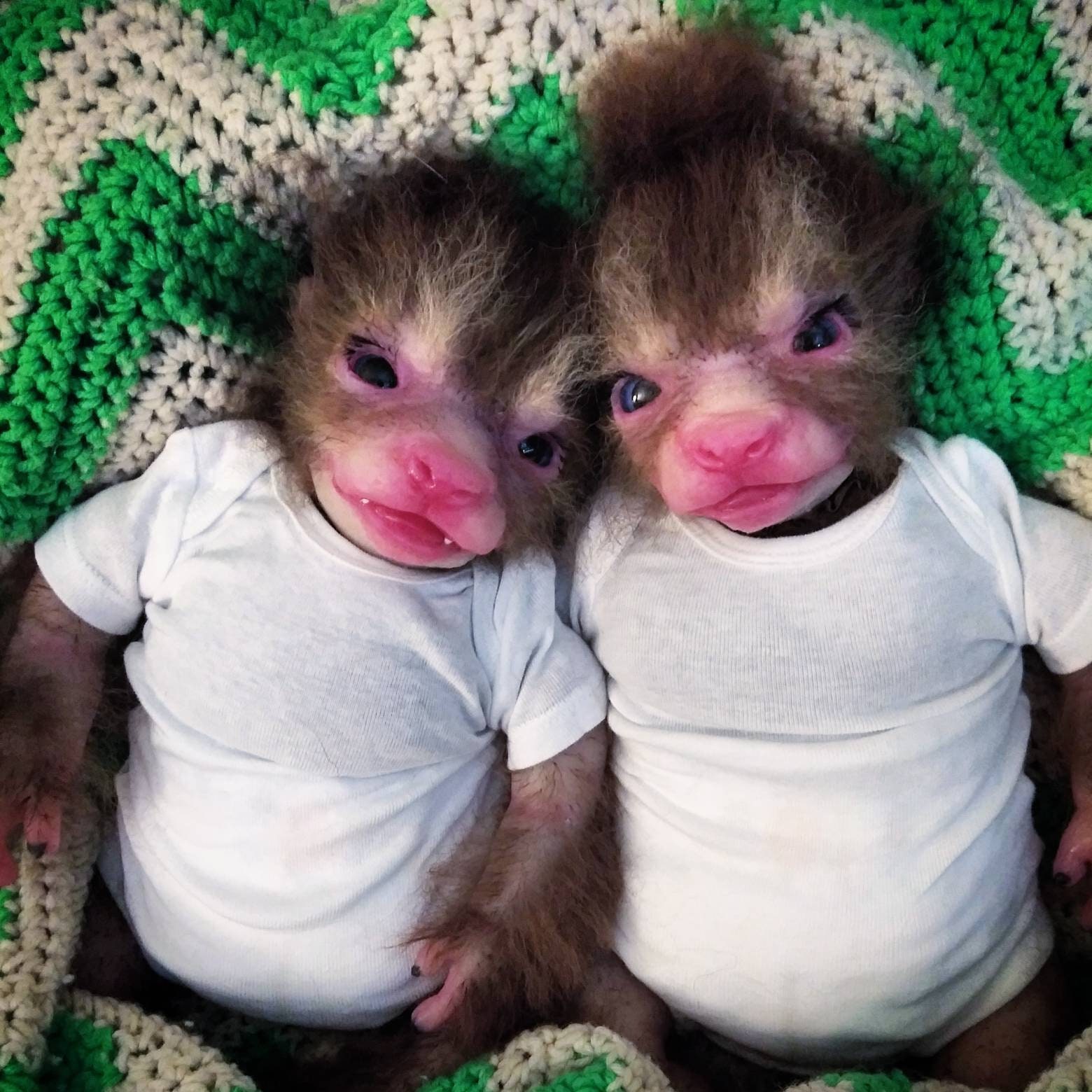 Werewolf Puppy Silicone Baby Doll | Etsy