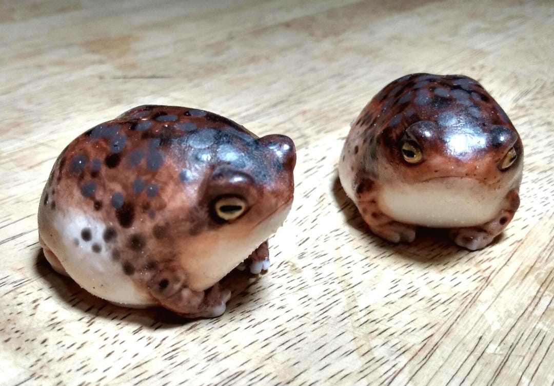 SQUISHY Desert Rain Frog. Cute Butt Frog Fidget Weirdcore Desk Toy for Stress Relief - Etsy