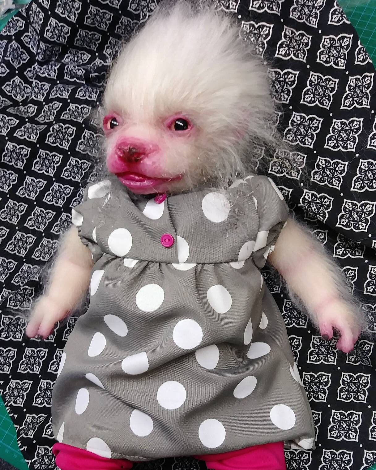 Werewolf Puppy Silicone Baby Doll | Etsy