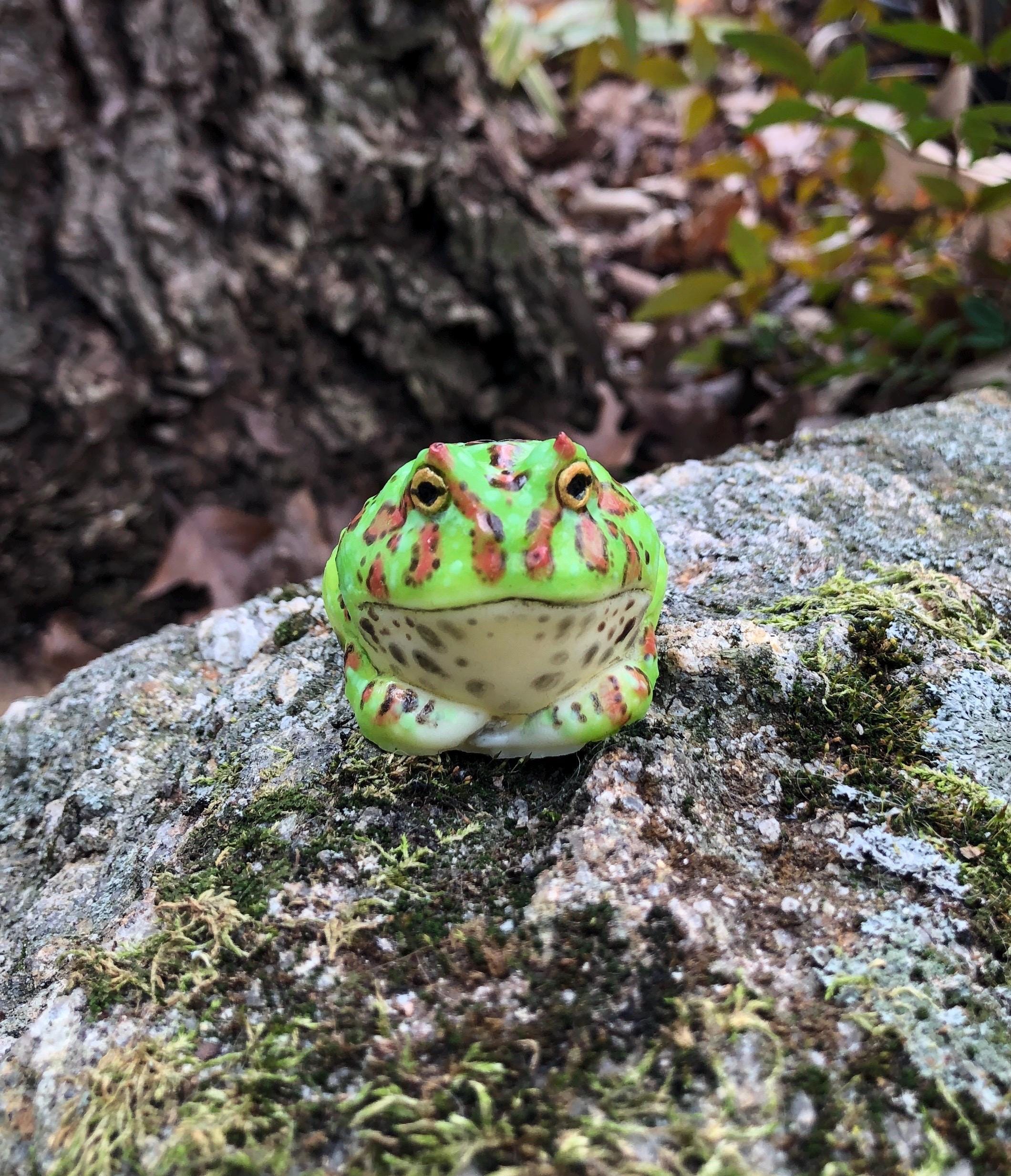 SQUISHY Pacman Type Frog. Silicone Stress Buddy - Etsy