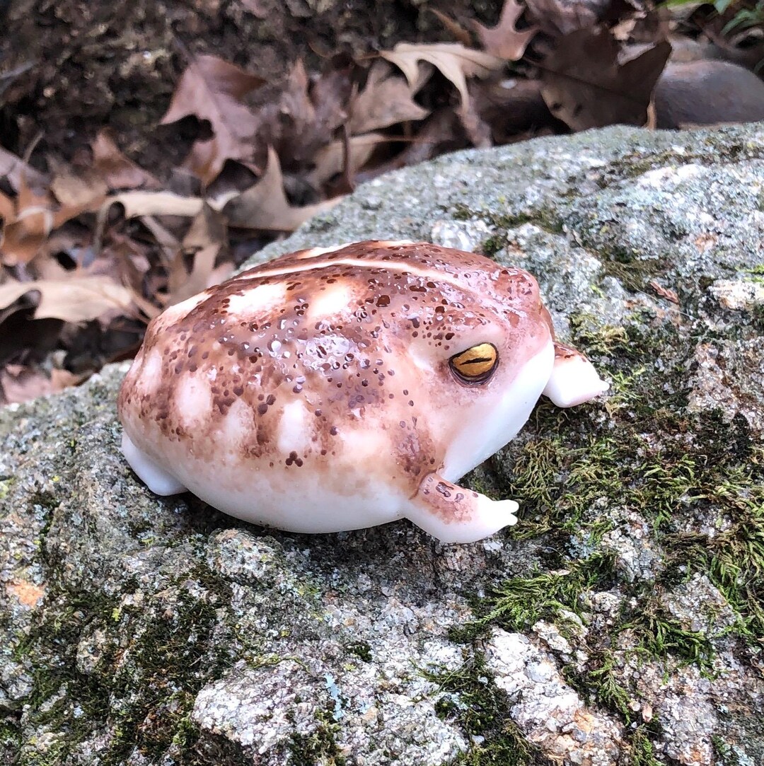 GIANT FROG SQUISHY. Desert Rain Grumpy Frog Silicone Taba Style ...