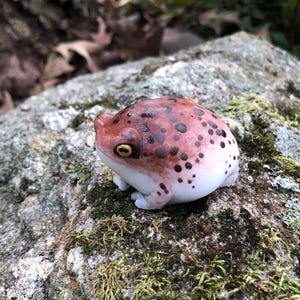 SQUISHY Desert Rain Frog. Cute Butt Frog Fidget Weirdcore Desk Toy for Stress Relief - Etsy