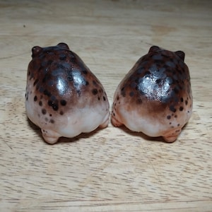 SQUISHY Desert Rain Frog. Cute Butt Frog Fidget Weirdcore Desk Toy for ...