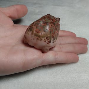 SQUISHY Desert Rain Frog. Cute Butt Frog Fidget Weirdcore Desk Toy for ...