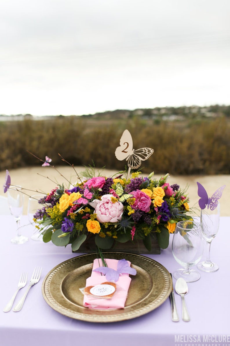 Butterfly Table Numbers Set of 10 Engraved Wood Laser Cut Out - Etsy