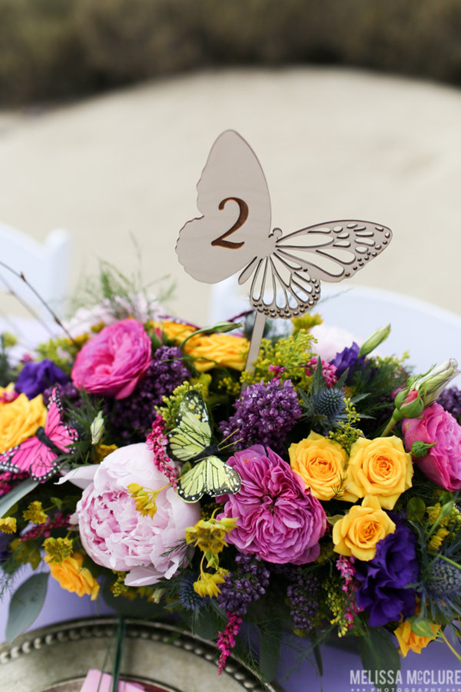 Butterfly Table Numbers Set of 10 Engraved Wood Laser Cut Out - Etsy